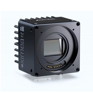 CB120MG-CM - XIMEA GmbH | Scientific & Industrial Camera