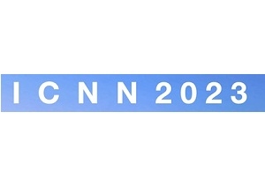 ICNN 2023