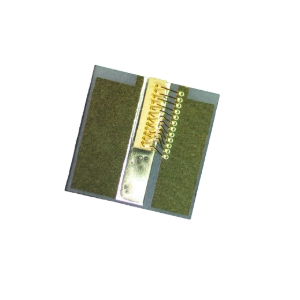 COC-181 - SemiNex Corporation | Optical Amplifier