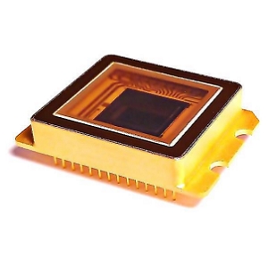 FPA640x512_P15-TE1 (Badger-T1) - ANDANTA | SWIR Sensor