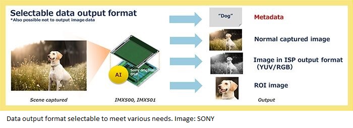 Sony to Introduce First Intelligent Vision Sensors with AI Processing Functionality