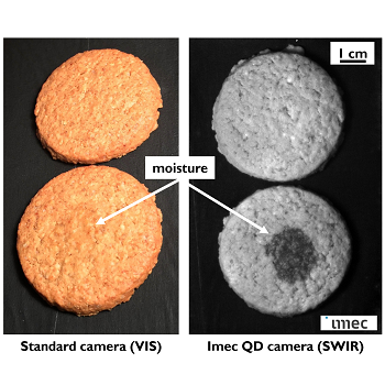 A Thin-Film Image Sensor to Capture Light in the Infrared Region