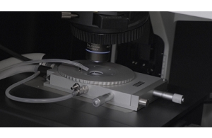 Determining the Fermi Thermal Shift of Silicon Semiconductor Wafers ...