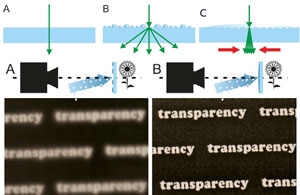 Fabrication of Highly Transparent Anti-fogging Glass Surfaces