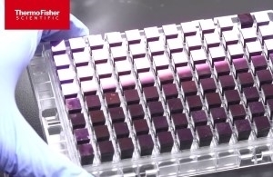 Lasers, Fiber Optics and Imaging Products - GoPhotonics